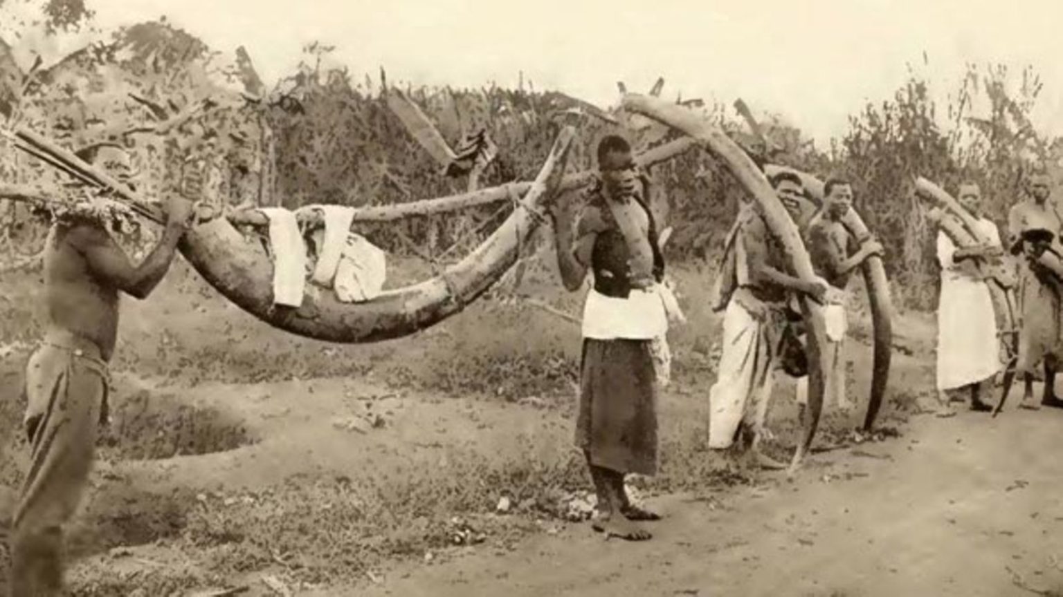 Pre-colonial Uganda - Turkana Wildlife Safaris