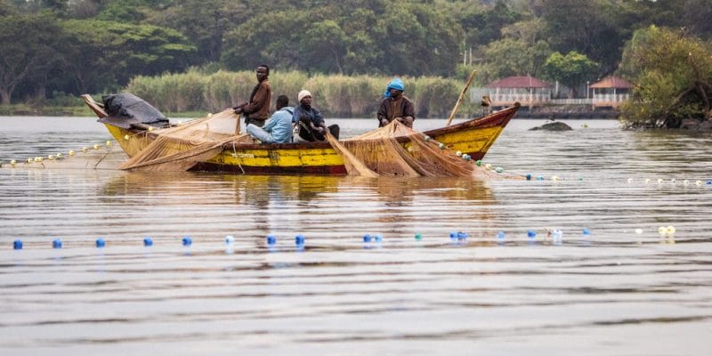 Lake Victoria Ecosystem - Turkana Wildlife Safaris