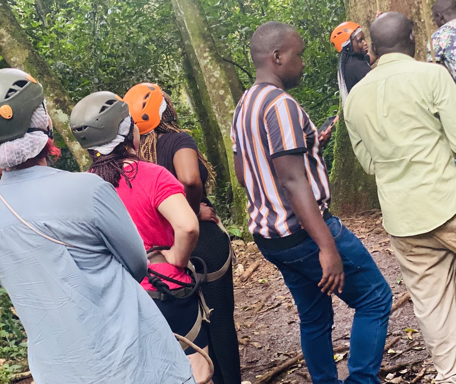 Mabira Forest Directions - Turkana Wildlife Safaris