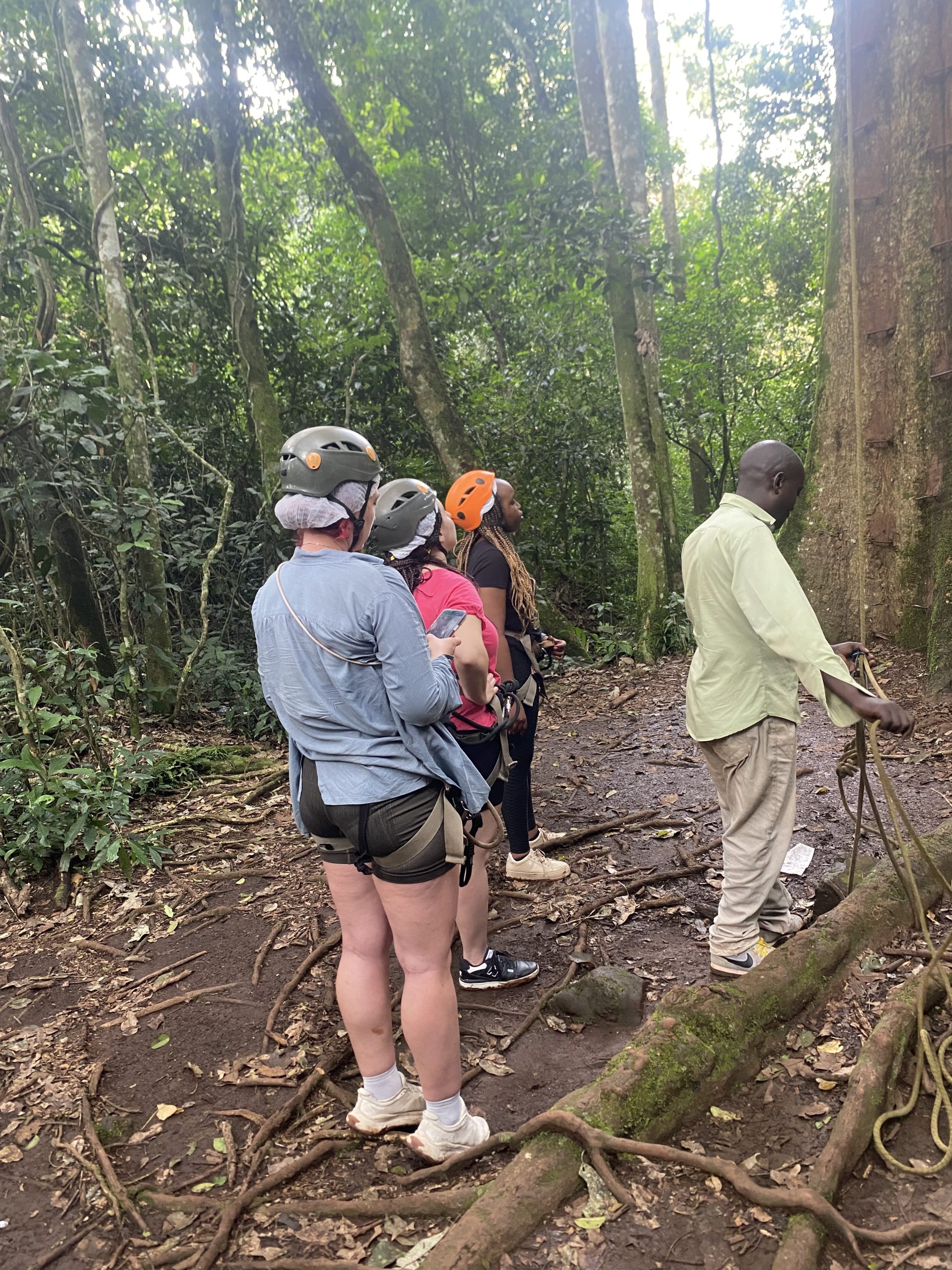 Mabira Forest Guide - Turkana Wildlife Safaris