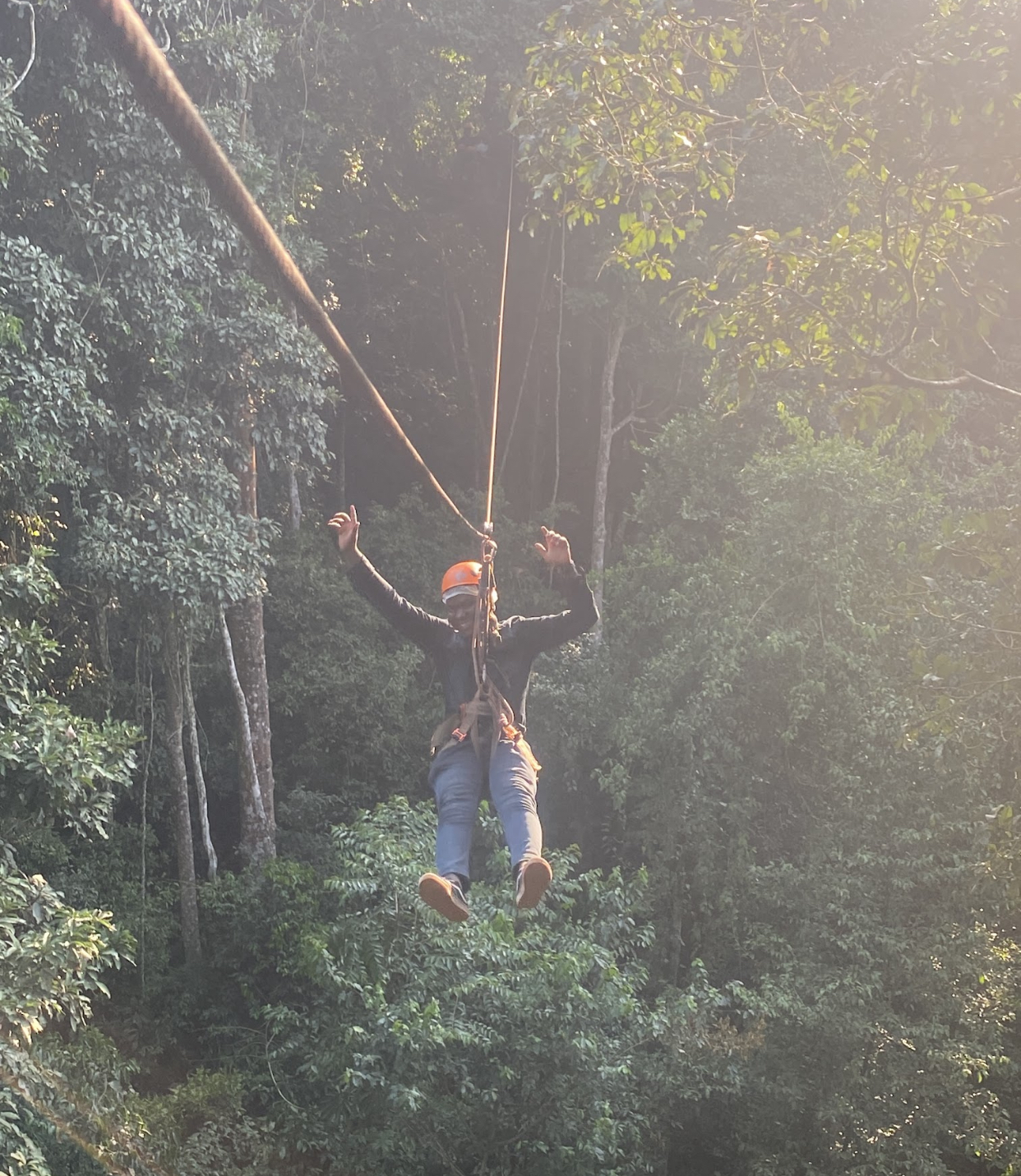 Zip Line Experiences in Mabira Forest - Turkana Wildlife Safaris