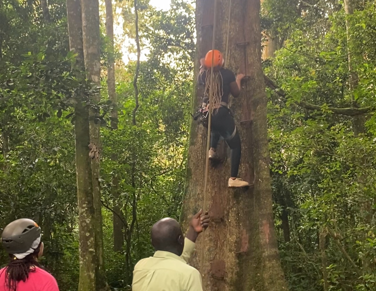 Mabira Adventures - Turkana Wildlife Safaris