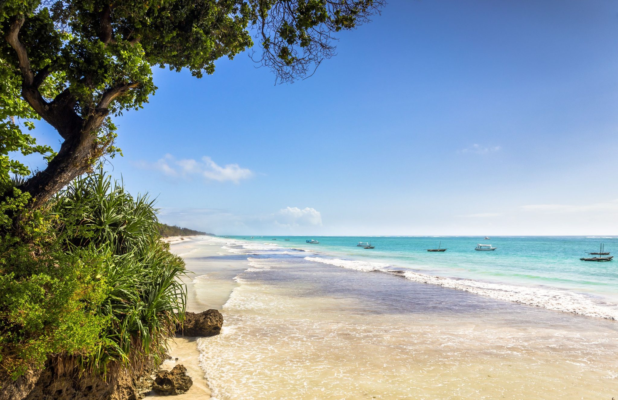 Diani Beach Holiday - Turkana Wildlife Safaris