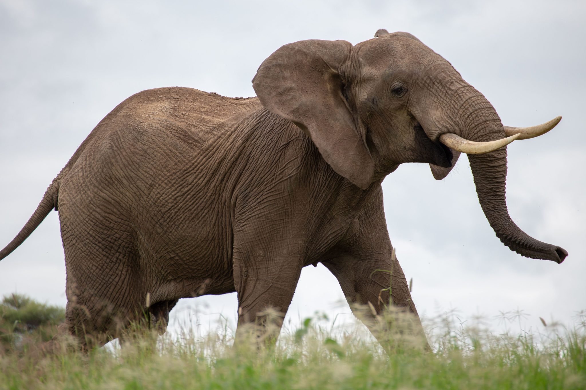 5 Days Rwanda Wildlife Safari - Turkana Wildlife Safaris