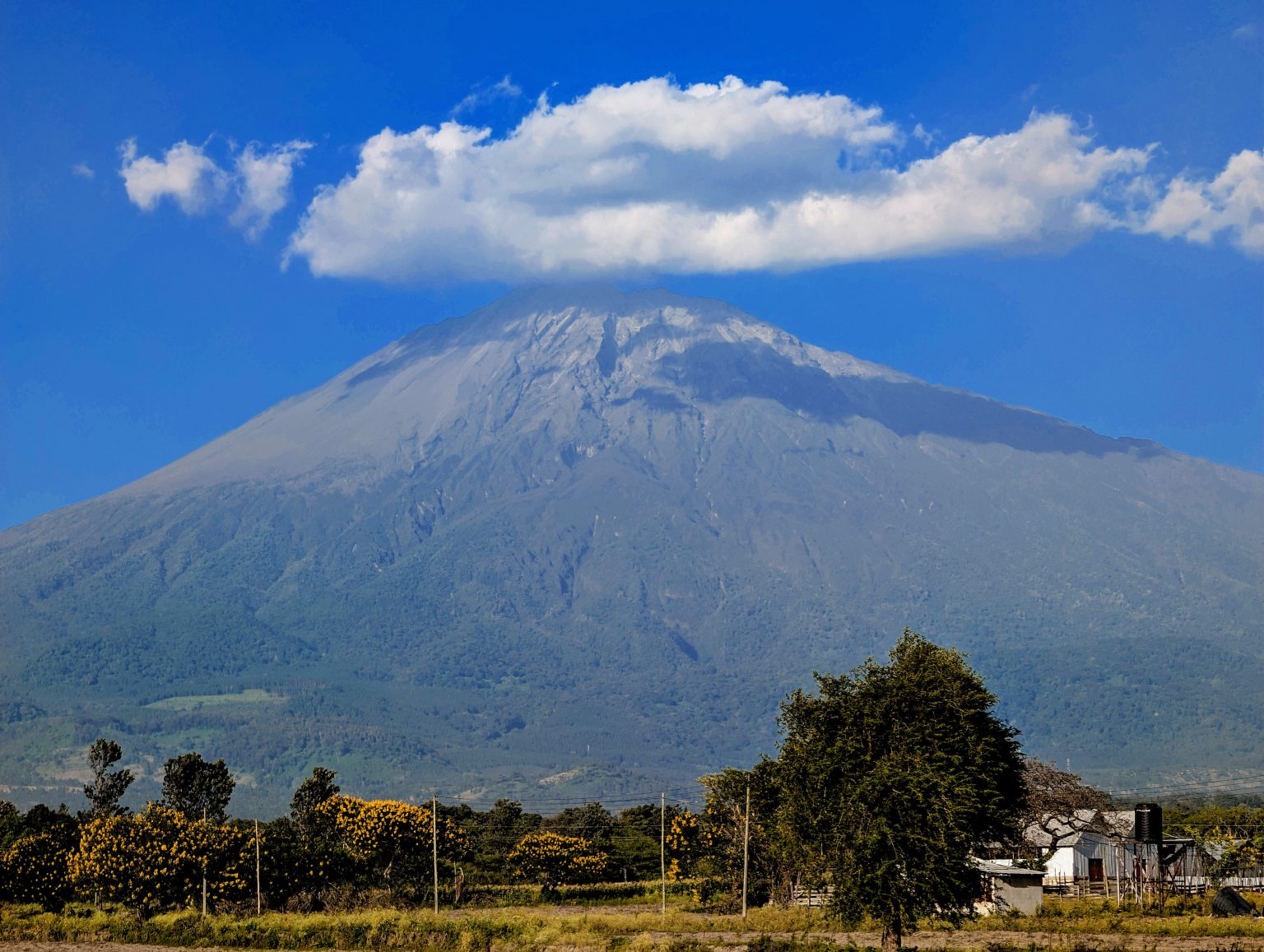 3 Days Kigali to Volcanoes National Park Safari - Turkana Wildlife Safaris